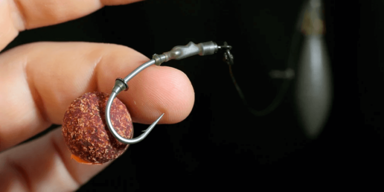 What Size Hook for Carp? + Choosing The Right Hook Type - Carp Squad