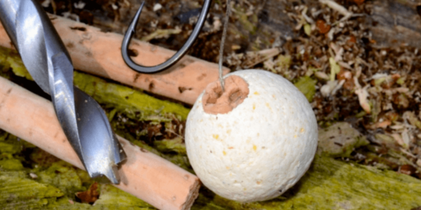 What Size Hook For Carp Choosing The Right Hook Type Carp Squad