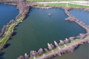 Carp Lakes Near Me: UK Day Ticket Carp Lakes - Carp Squad