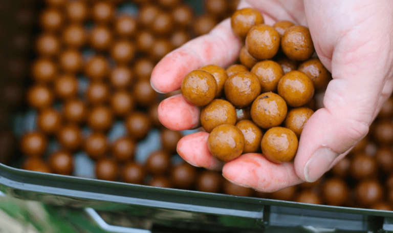 7 Best Winter Boilies in 2023 - Carp Squad