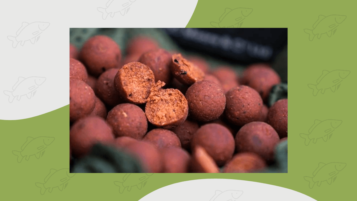 7 Best Fishmeal Boilies (Carp Can't Resist These!) - Carp Squad