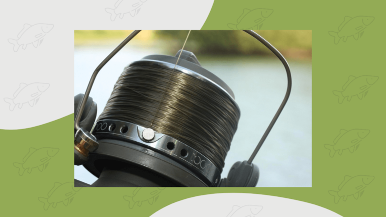 5 Best Bottom Bait Rigs That You Need To Try - Carp Squad