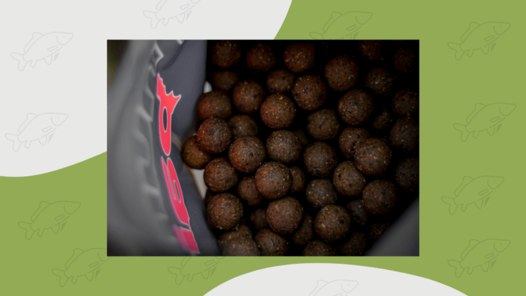 7 Best Fishmeal Boilies (Carp Can't Resist These!) - Carp Squad