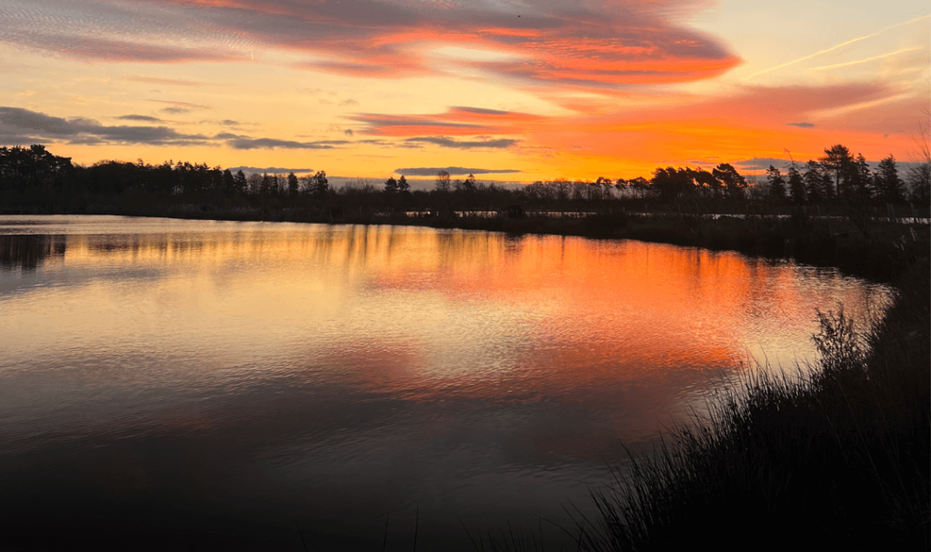 Carp Lakes Near Me UK Day Ticket Carp Lakes Carp Squad