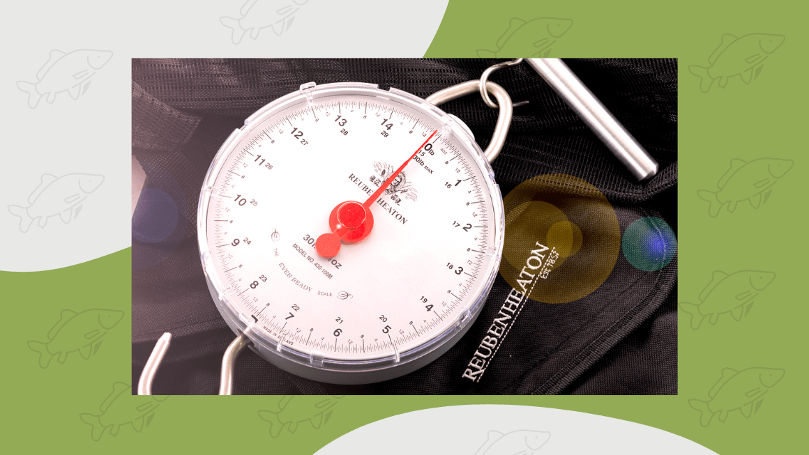 Best Carp Fishing Scales That Are Actually Accurate! - Carp Squad