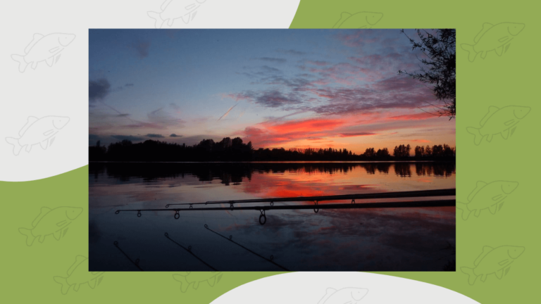 50lb Carp Lakes UK (That Anyone Can Fish!) - Carp Squad