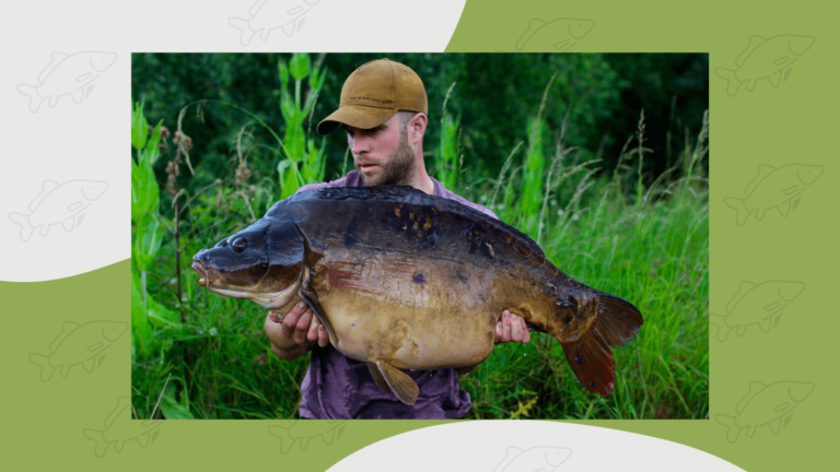 50lb Carp Lakes UK (That Anyone Can Fish!) - Carp Squad