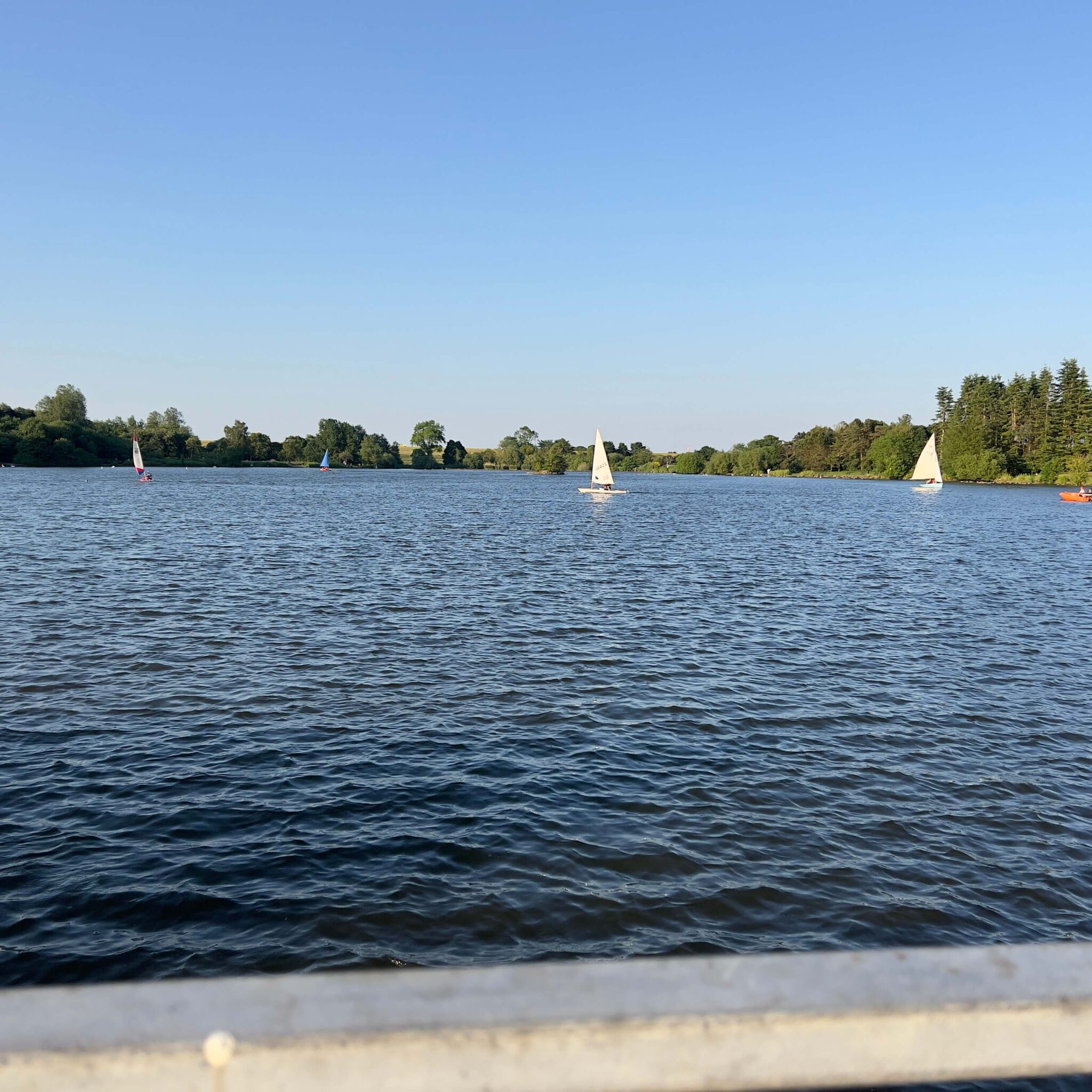 Yeadon Tarn Fishing - Tips & Tactics for Your Session - Carp Squad