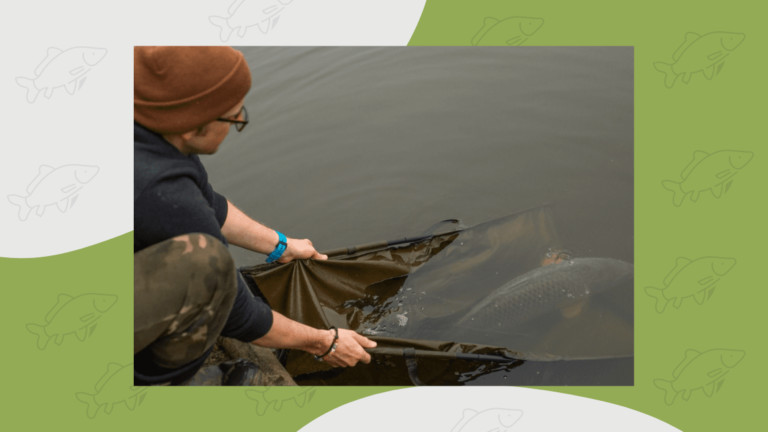 Best Carp Weigh Sling - Full List & Opinions - Carp Squad