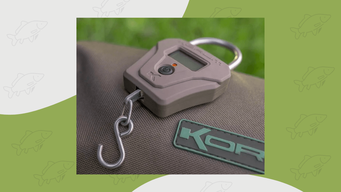 Best Carp Fishing Scales That Are Actually Accurate! - Carp Squad