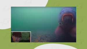 What Do Carp Eat? A Quick Guide to Their Diet - Carp Squad